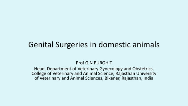 Vet obst lecture 11 Genital surgeries in domestic animals | PDF | Reproductive Health | Diseases ...