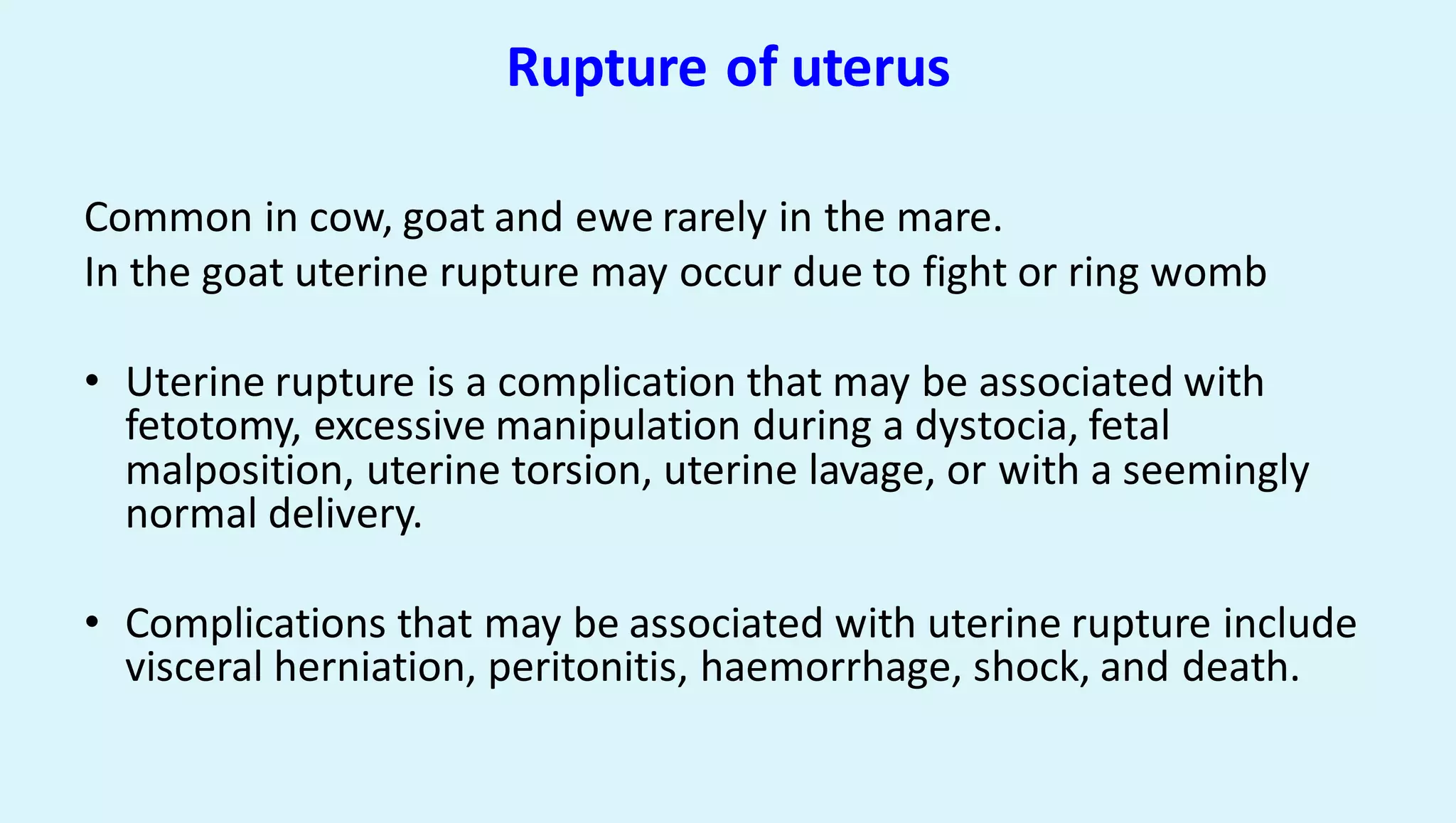 Vet obst lecture 12 Postpartum complications in large domestic animals ...