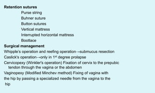 Vet obst lecture 13 Genital prolapse in domestic animals | PDF