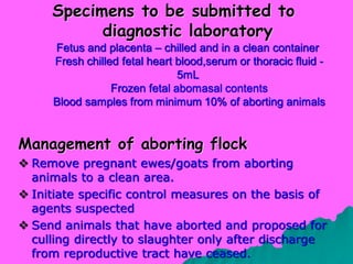 Vet obst lecture 14 Postpartum complications in sheep and goats | PDF