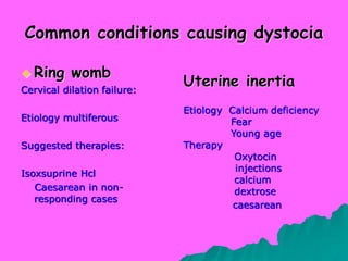 Vet obst lecture 14 Postpartum complications in sheep and goats | PPT