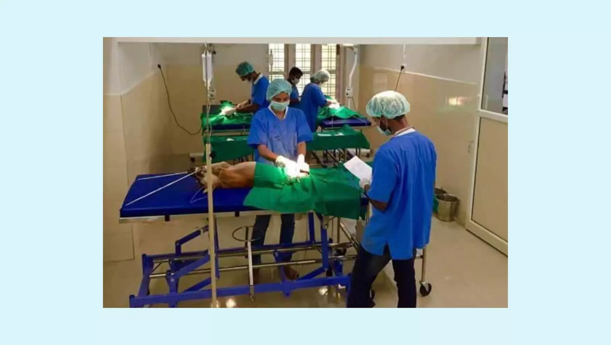 Vet obst lecture 16 Animal birth control | PDF