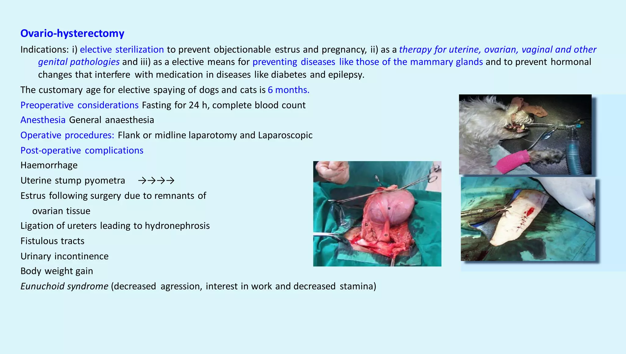 Vet obst lecture 16 Animal birth control | PDF