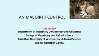 Vet obst lecture 16 Animal birth control | PDF