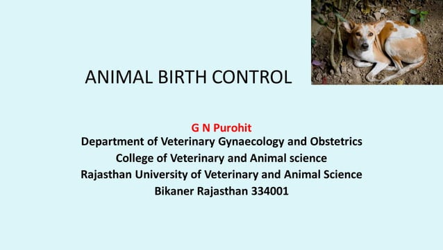 Vet obst lecture 16 Animal birth control | PDF | Reproductive Health ...