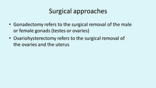 Vet obst lecture 16 Animal birth control | PDF