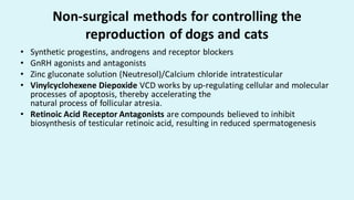 Vet obst lecture 16 Animal birth control | PDF
