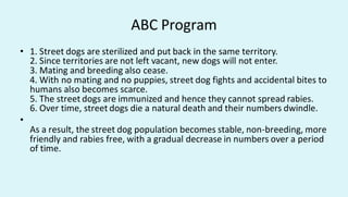 Vet obst lecture 16 Animal birth control | PDF