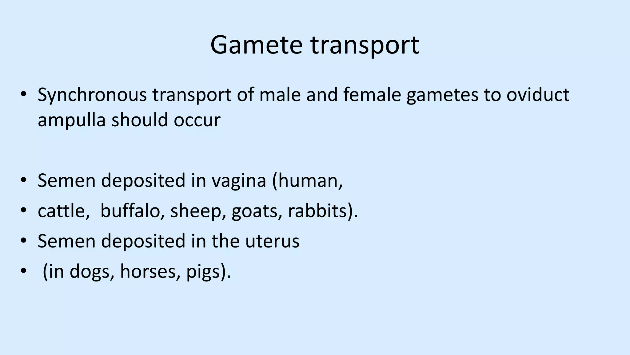 Vet obst lecture 1 Pregnancy in domestic animals | PPTX