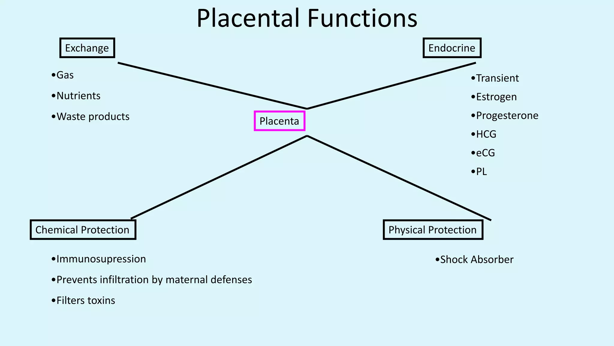 Vet obst lecture 2 placenta formation and growth | PPTX
