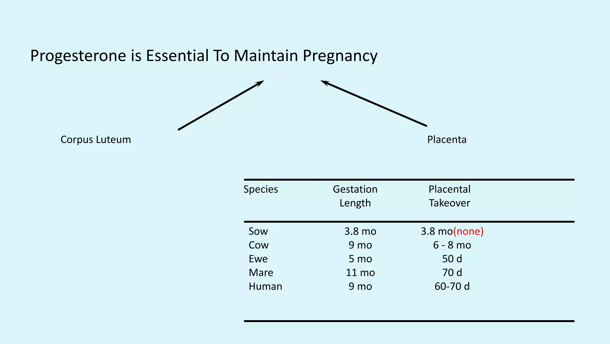 Vet obst lecture 2 placenta formation and growth | PPTX