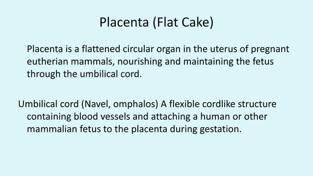 Vet obst lecture 2 placenta formation and growth | PPTX | Pregnancy ...