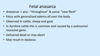 Vet obst lecture 3 Diseases and accidents of gestation | PPT