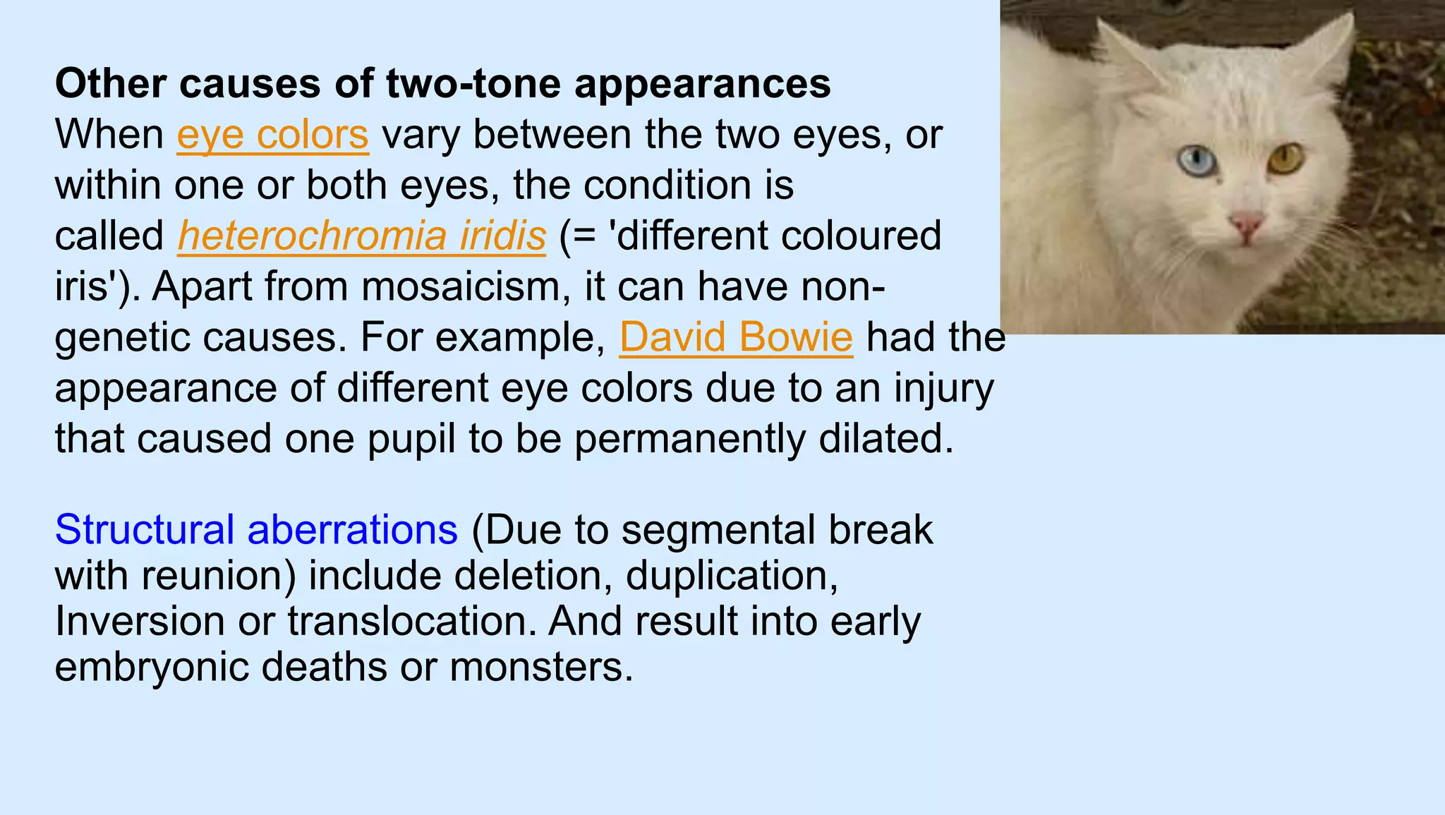 Vet obst lecture 4 Congenital fetal defects (teratology) | PPTX