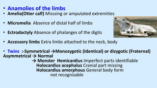 Vet obst lecture 4 Congenital fetal defects (teratology) | PPTX