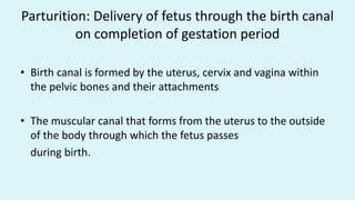 Vet obst lecture 5 Parturition in domestic animals | PPTX