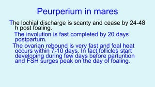 Vet obst lecture 6 Peurperium in domestic animals | PPTX
