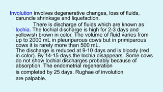 Vet obst lecture 6 Peurperium in domestic animals | PPTX