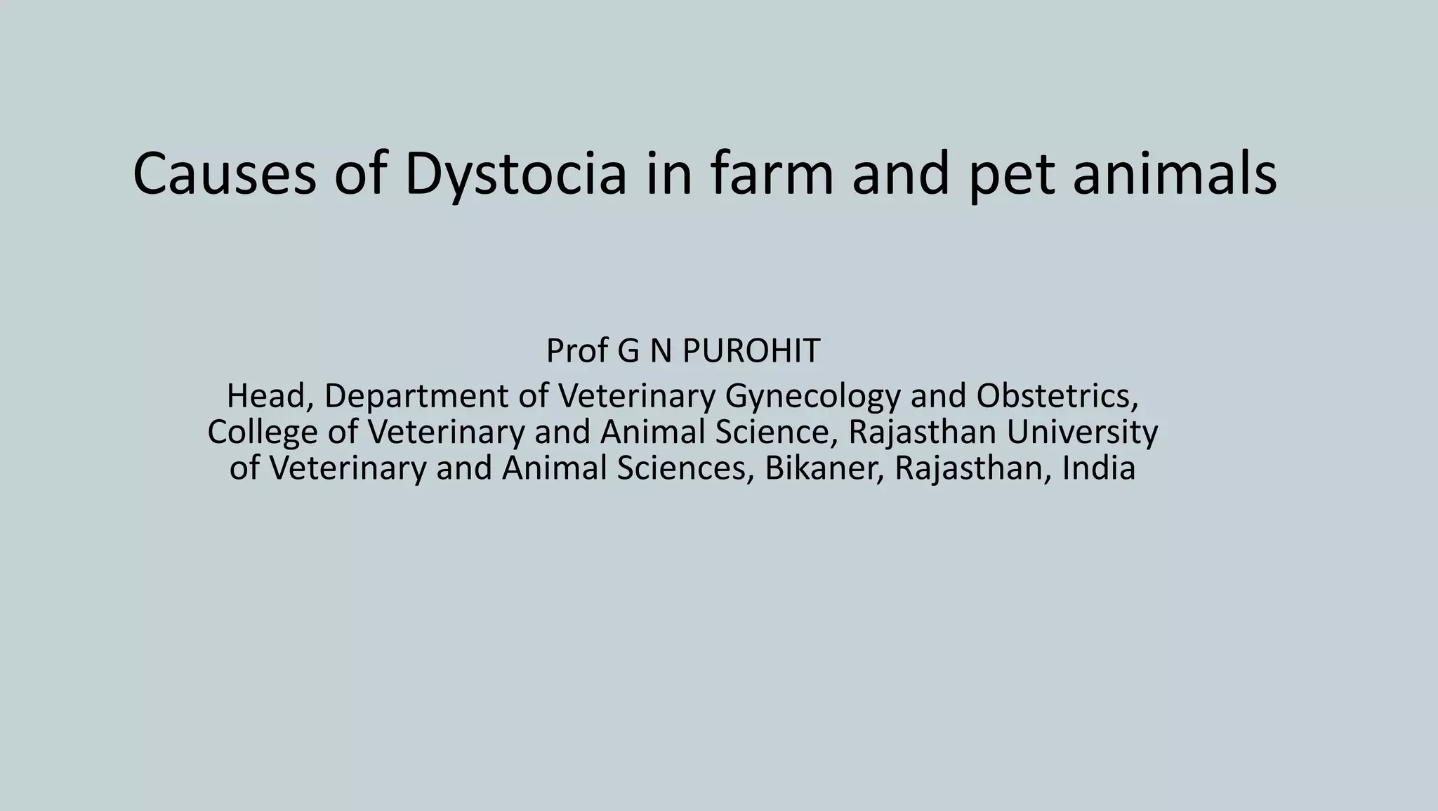 Vet obst lecture 7 Causes of dystocia in farm animals | PPTX