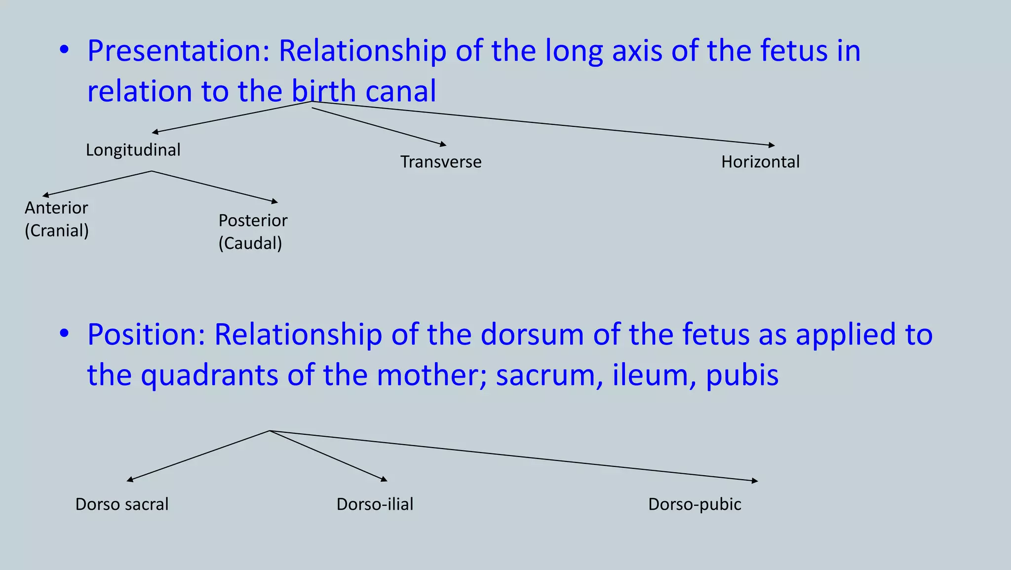 Vet obst lecture 7 Causes of dystocia in farm animals | PPTX