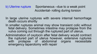 Vet obst lecture 7 Causes of dystocia in farm animals | PPTX