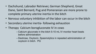 Vet obst lecture 7 Causes of dystocia in farm animals | PPTX