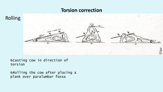 Vet obst lecture 8 Uterine torsion in domestic animals | PDF