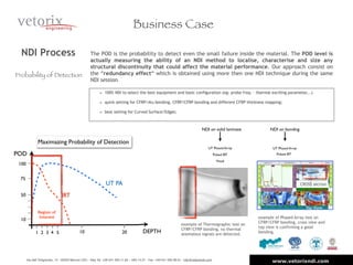 Vetorix NDI overview | PPT