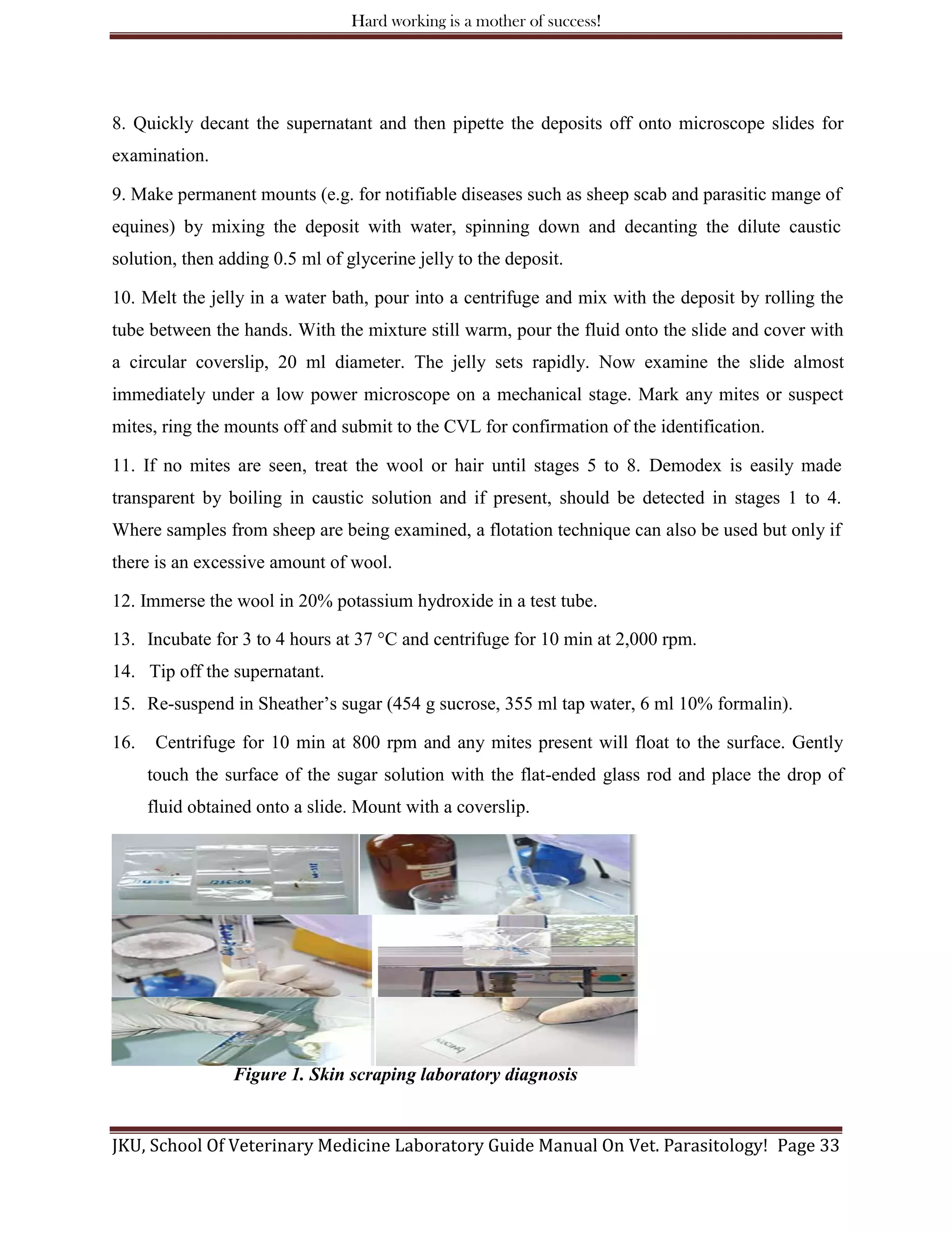 Veterinary parasitology Laboratory Guide Manual.pdf