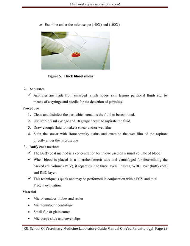 Veterinary parasitology Laboratory Guide Manual.pdf