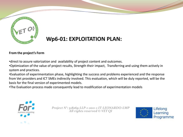 VETQI Project - Exploitation Strategy | PPTX | Small and Medium-sized ...