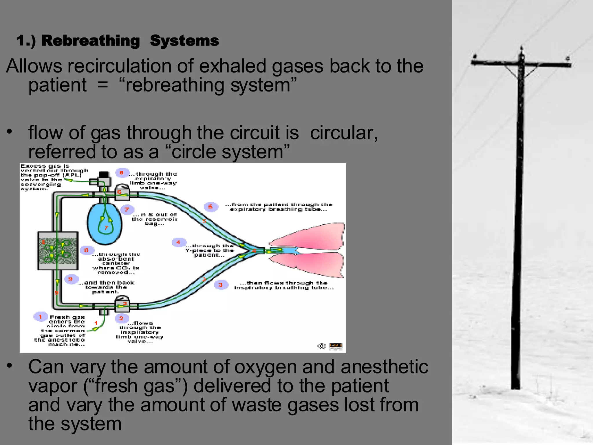 Vets 238 Anesthetic Equipment Final | PPT