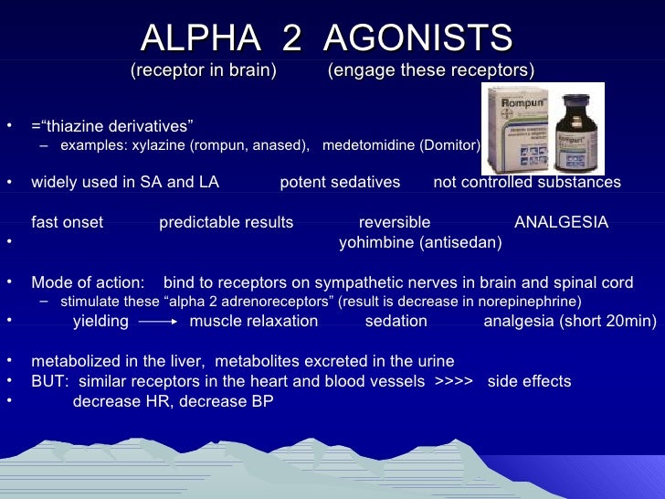 Vets 238 Intro Preanesthesia Final Draft