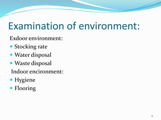 Vets diagnostic approach presentation | PPTX