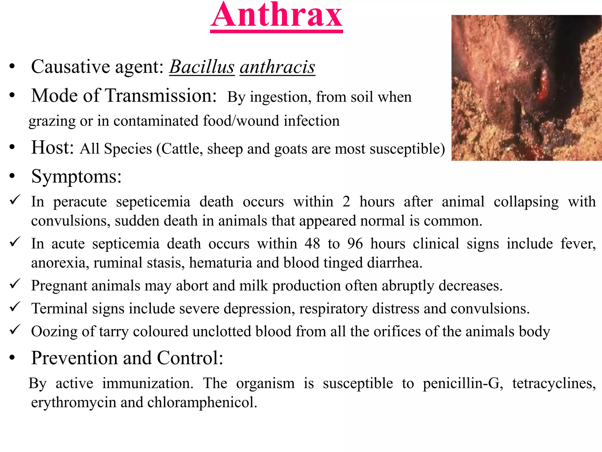 disease management in livestock and its prevention | PPTX