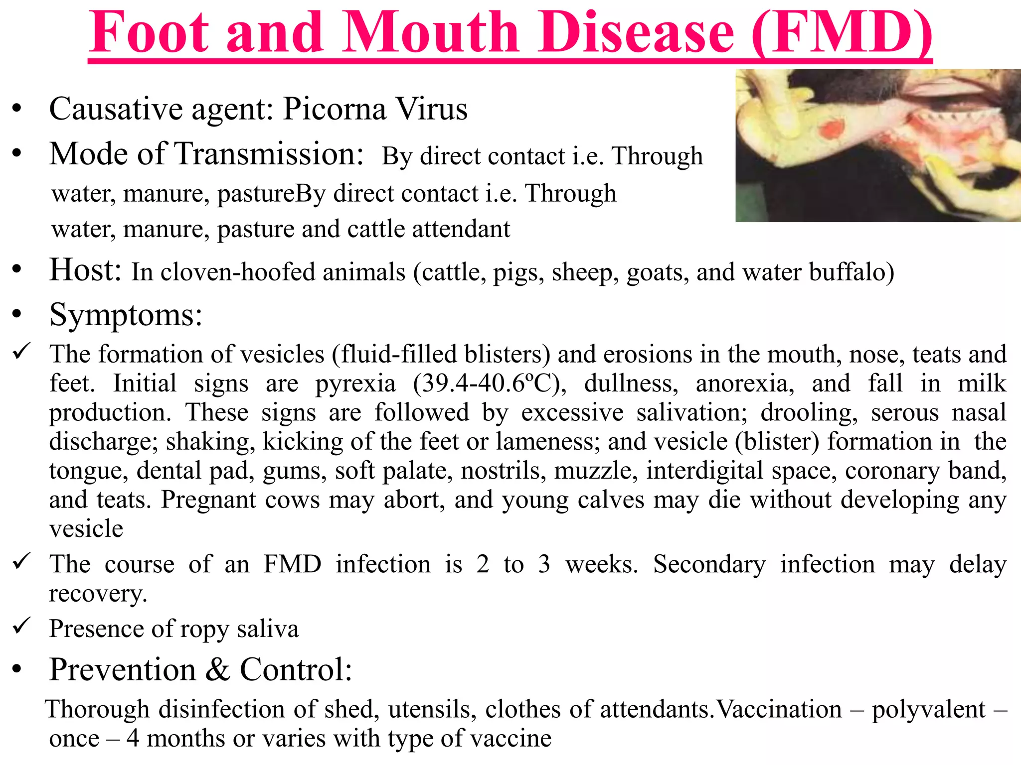 disease management in livestock and its prevention | PPTX