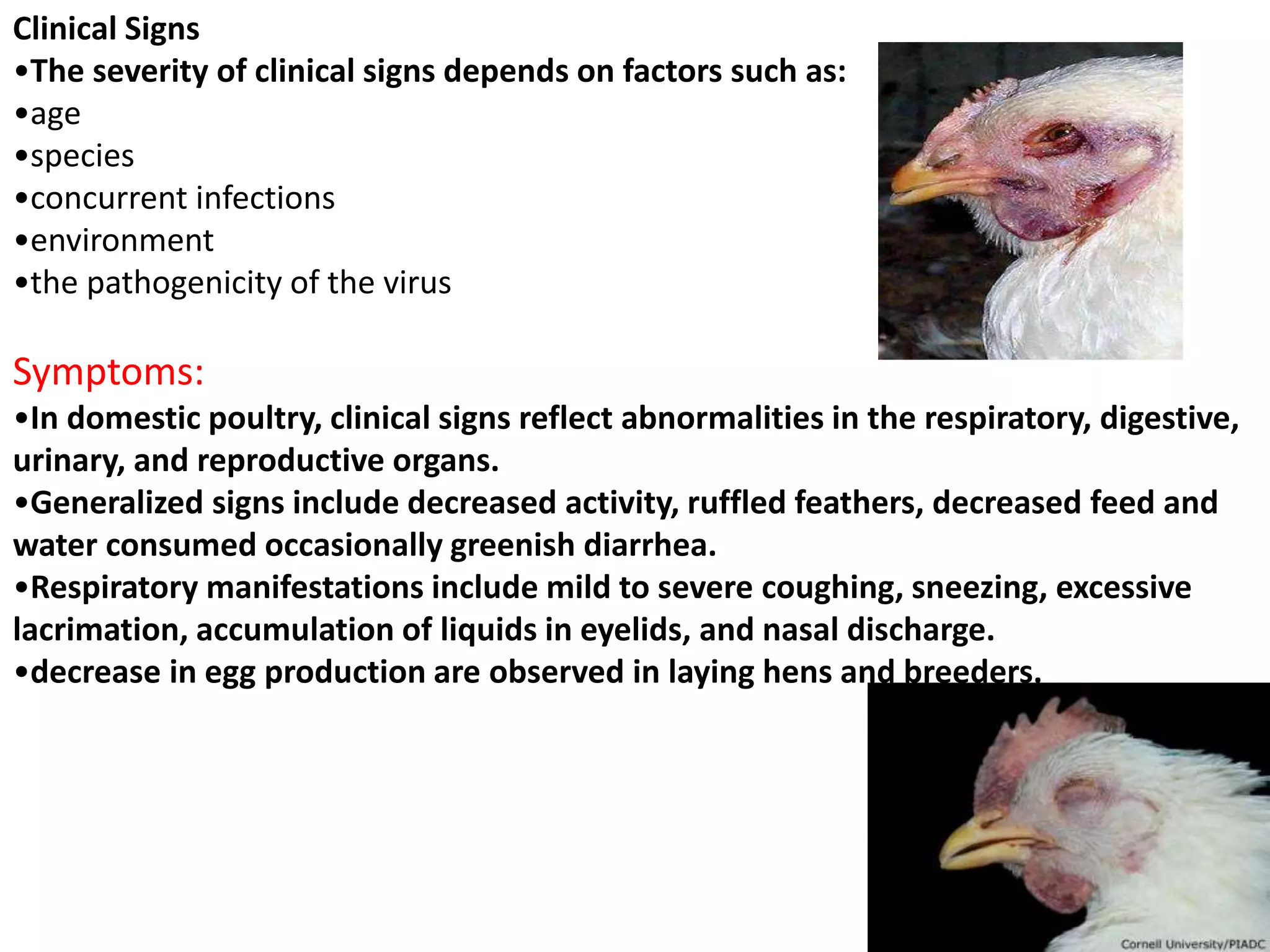 disease management in livestock and its prevention | PPTX