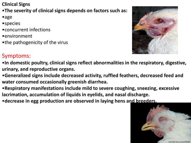 disease management in livestock and its prevention | PPTX