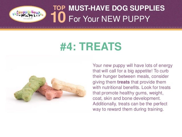 Top 10 Must Have Dog Supplies For Your New Puppy top-10-must-have-dog-supplies-for-your-new-puppy