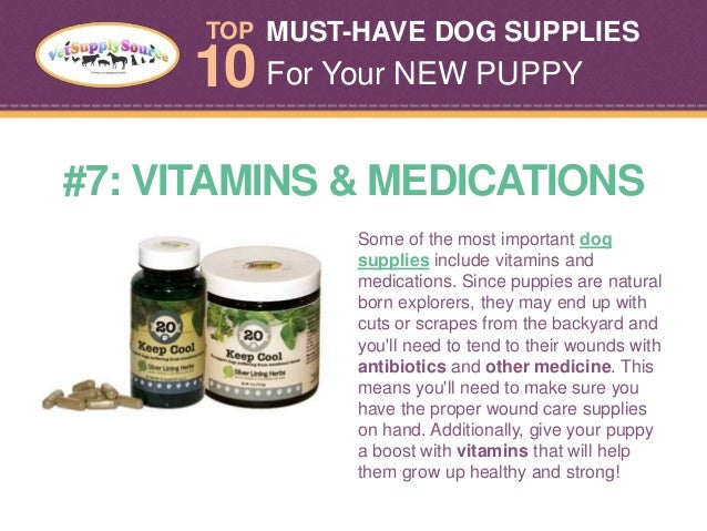 Top 10 Must Have Dog Supplies For Your New Puppy top-10-must-have-dog-supplies-for-your-new-puppy