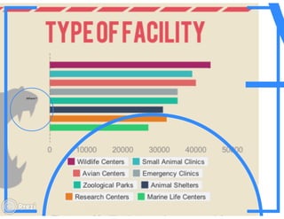 Vet tech salary guide pdf | PPT