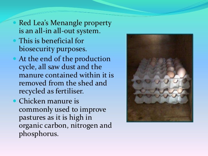 Vetting around Australia by Jacinta Kelly