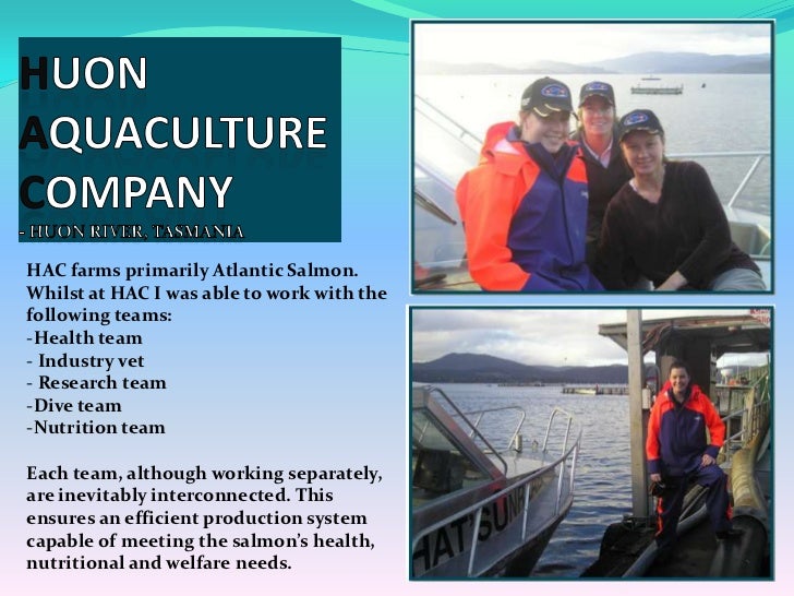 Vetting around Australia by Jacinta Kelly