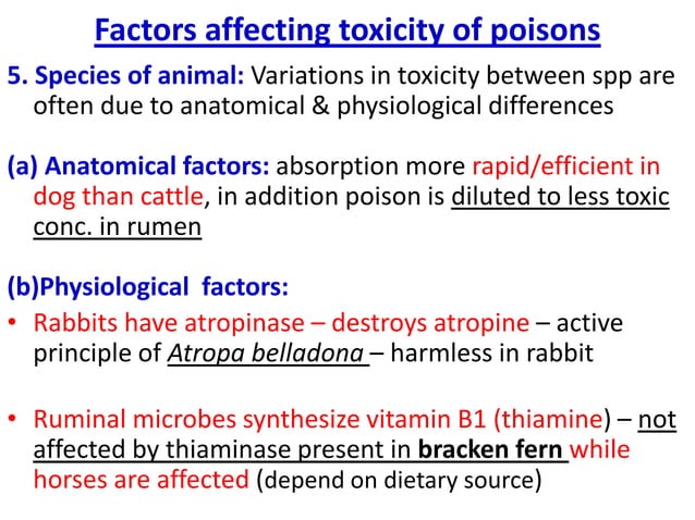 Vet toxicology and environmental toxicol | PPTX | Chemistry | Science