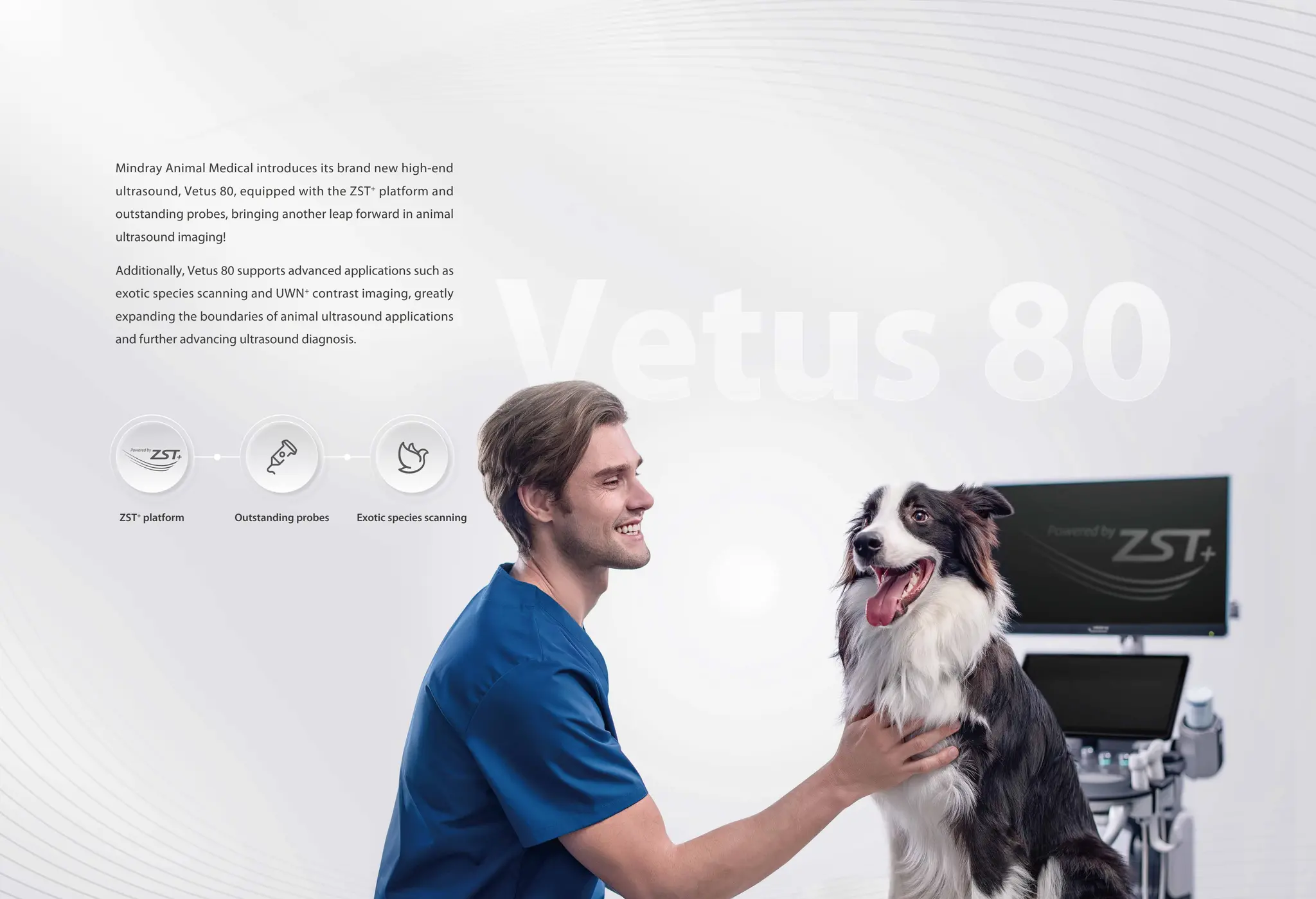 VETUS 80 Ultrasonido Veterinario mindray | PPT