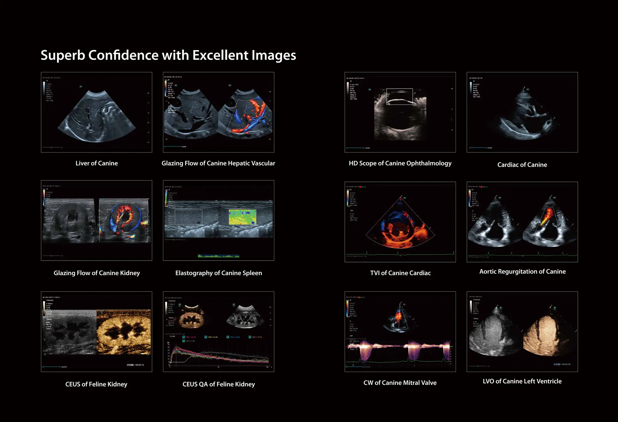 VETUS 80 Ultrasonido Veterinario mindray | PPT