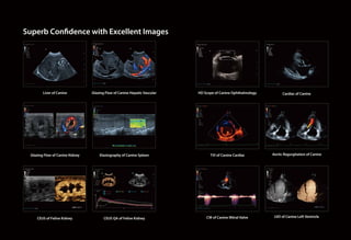 VETUS 80 Ultrasonido Veterinario mindray | PPT