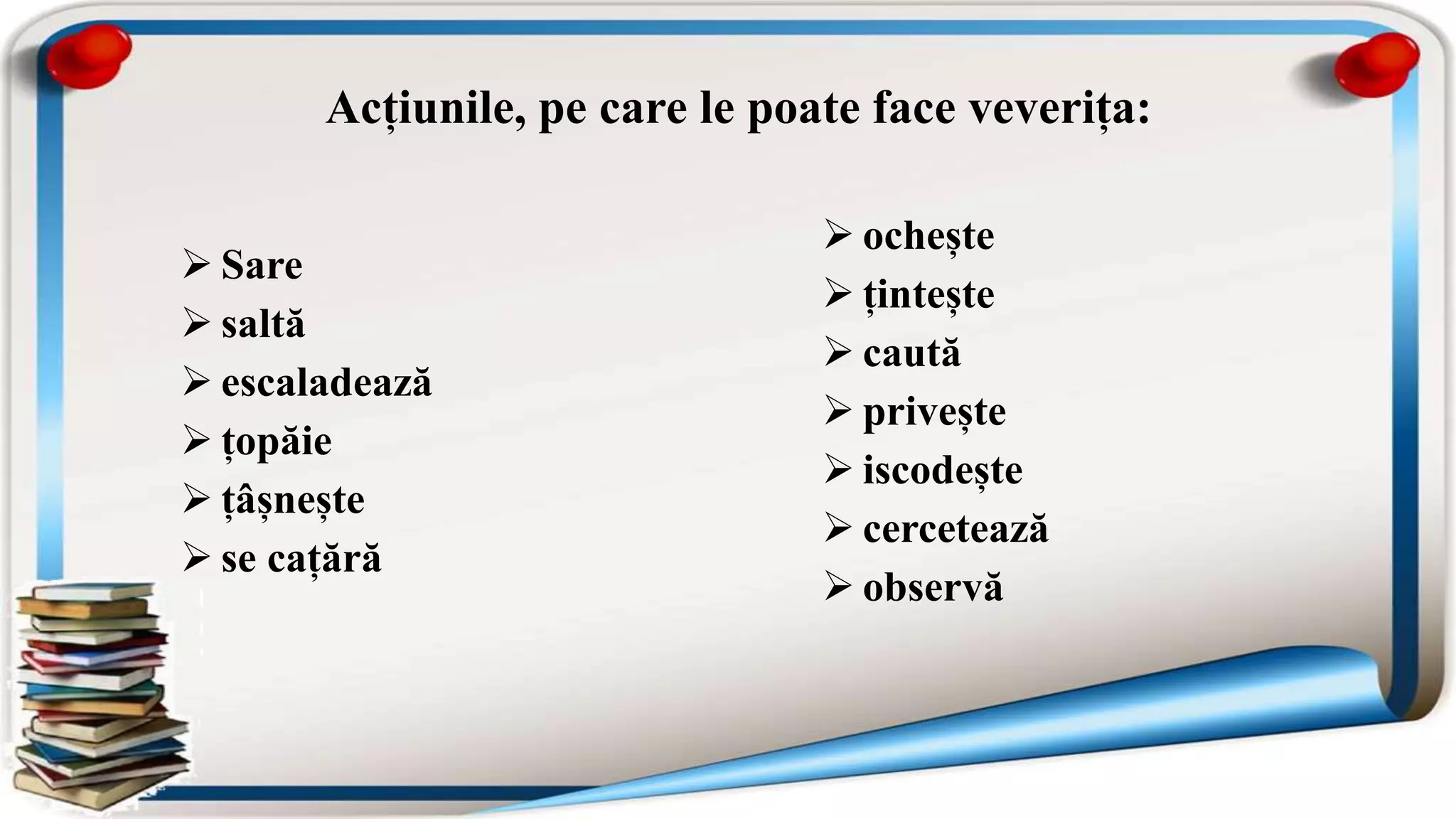 Veverita descriere eseu_cerinte | PPT