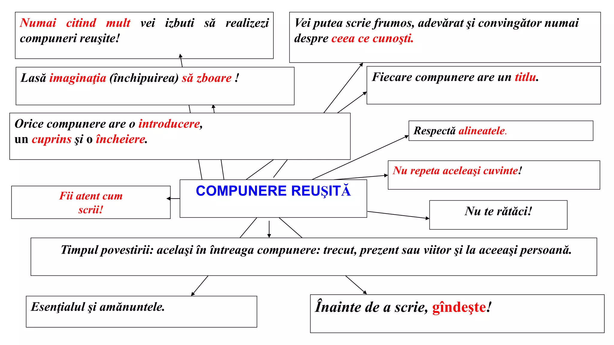 Veverita descriere eseu_cerinte | PPT