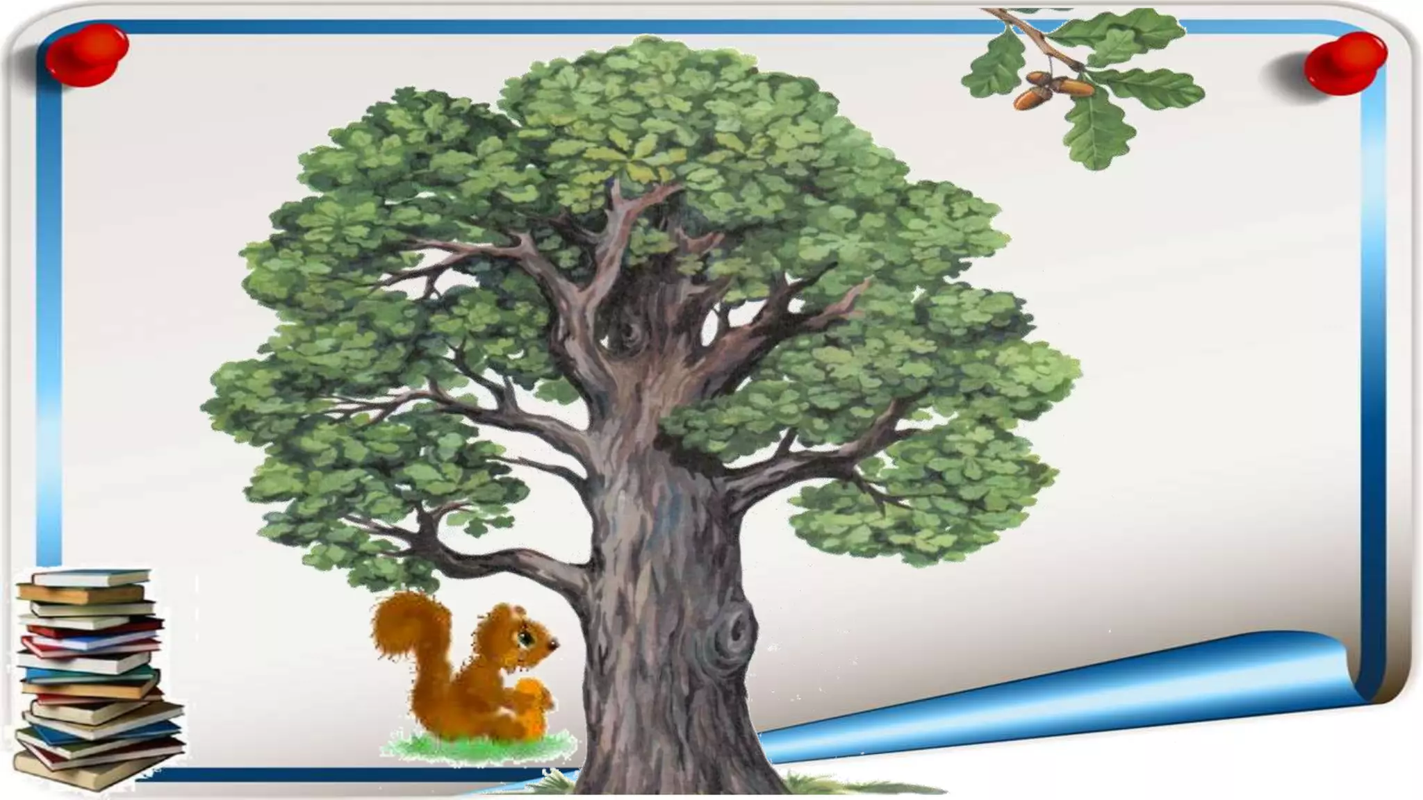 Veverita descriere eseu_cerinte | PPT